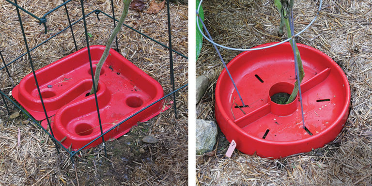 A Review of Tomato Gadgets - Fine Gardening