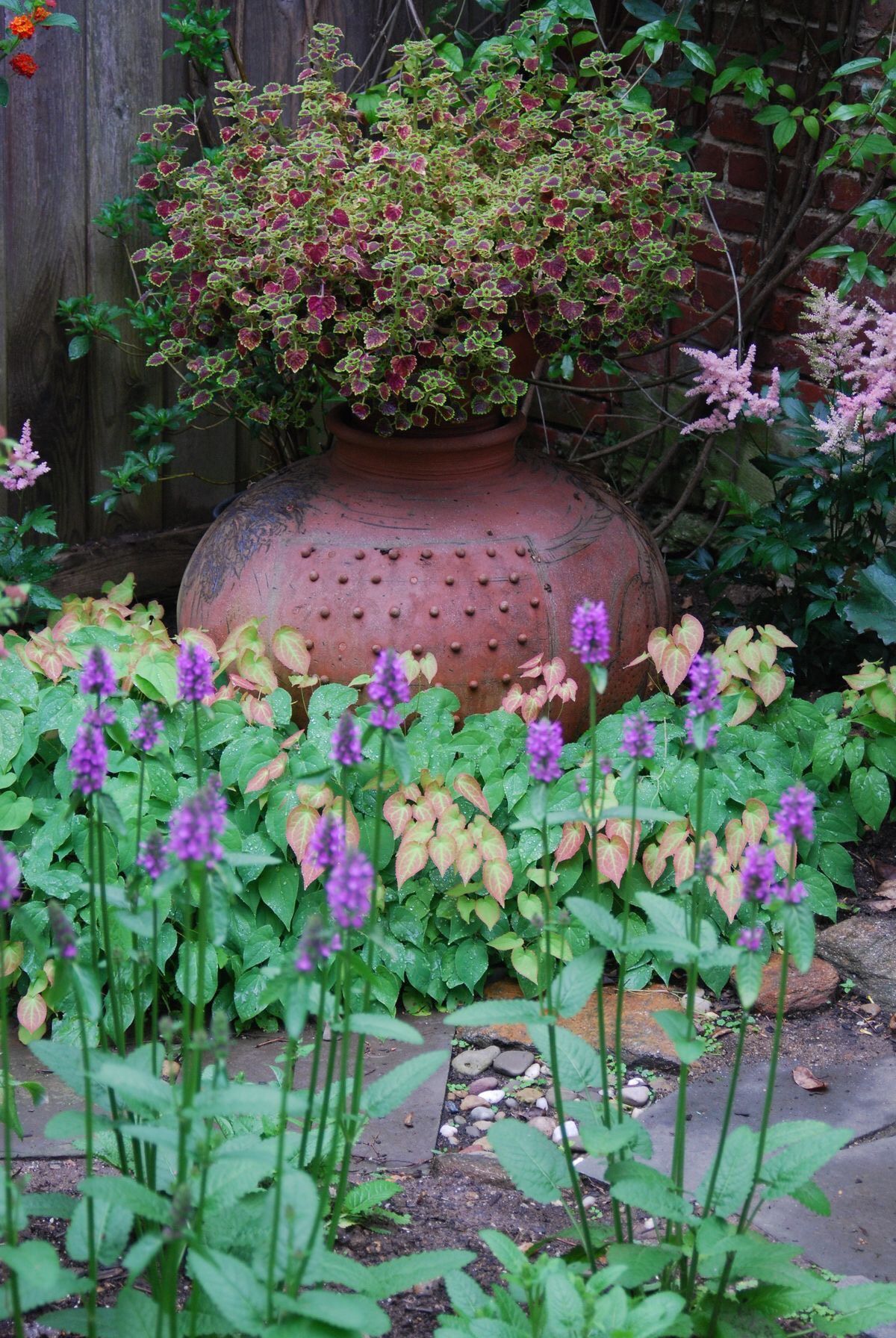 Inspired Plant Combinations - Fine Gardening