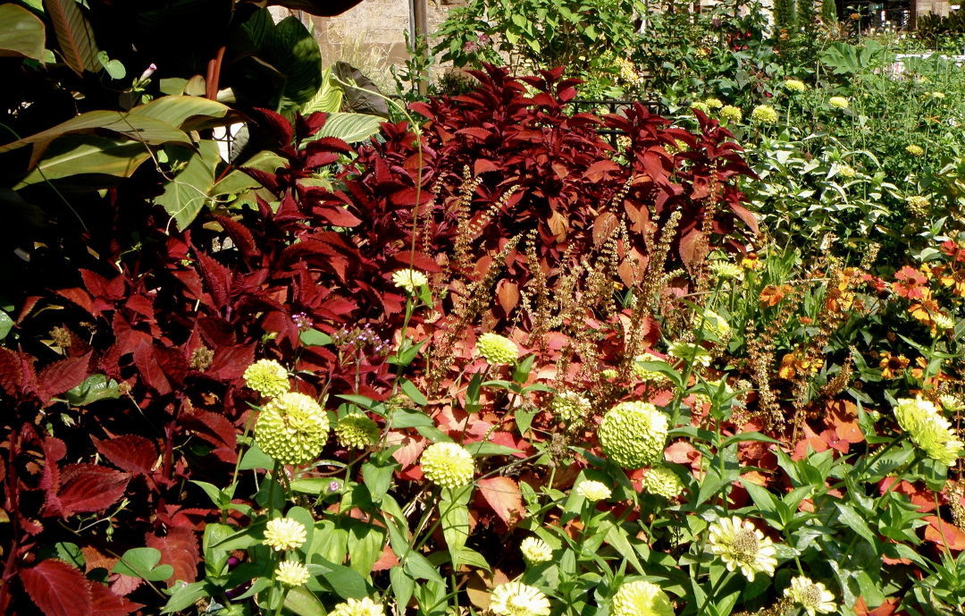 More Time With the Color Green - Fine Gardening