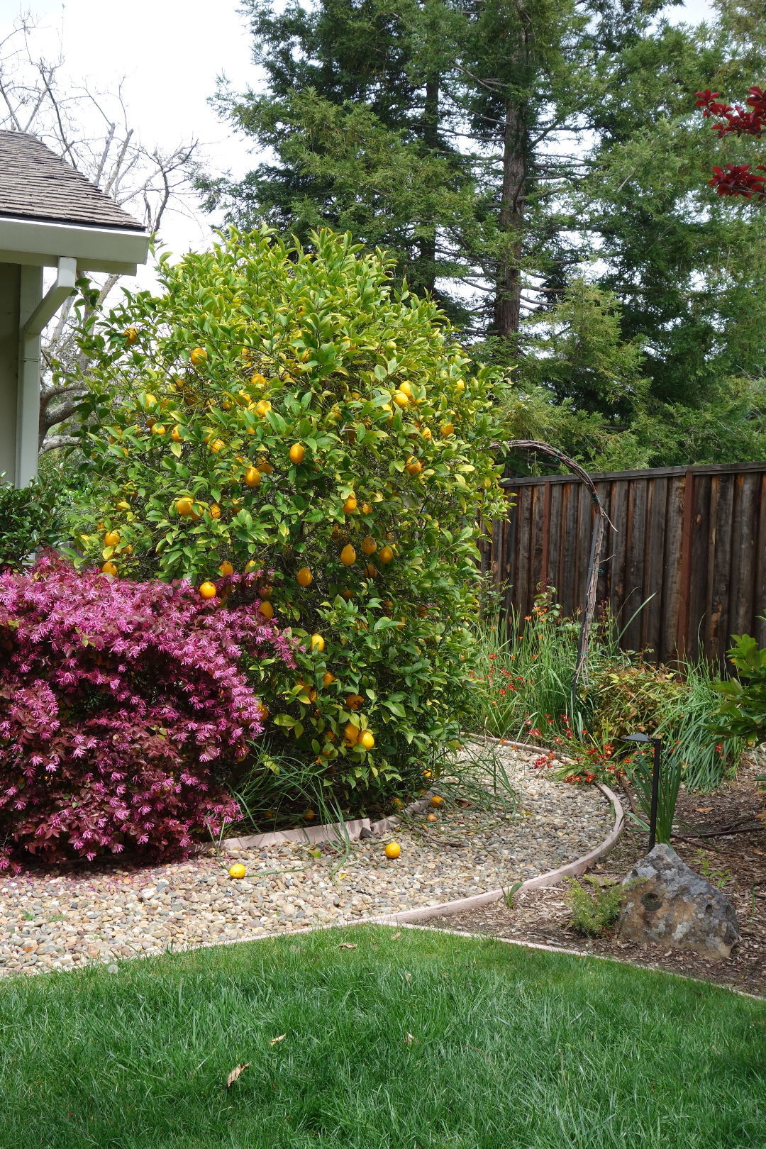 A Garden Full of Memories - Fine Gardening