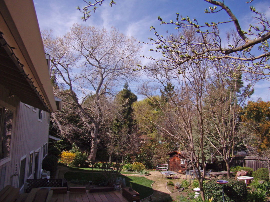 A Garden Full of Memories - Fine Gardening