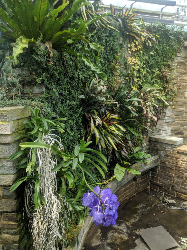 A Garden Under Glass - Fine Gardening