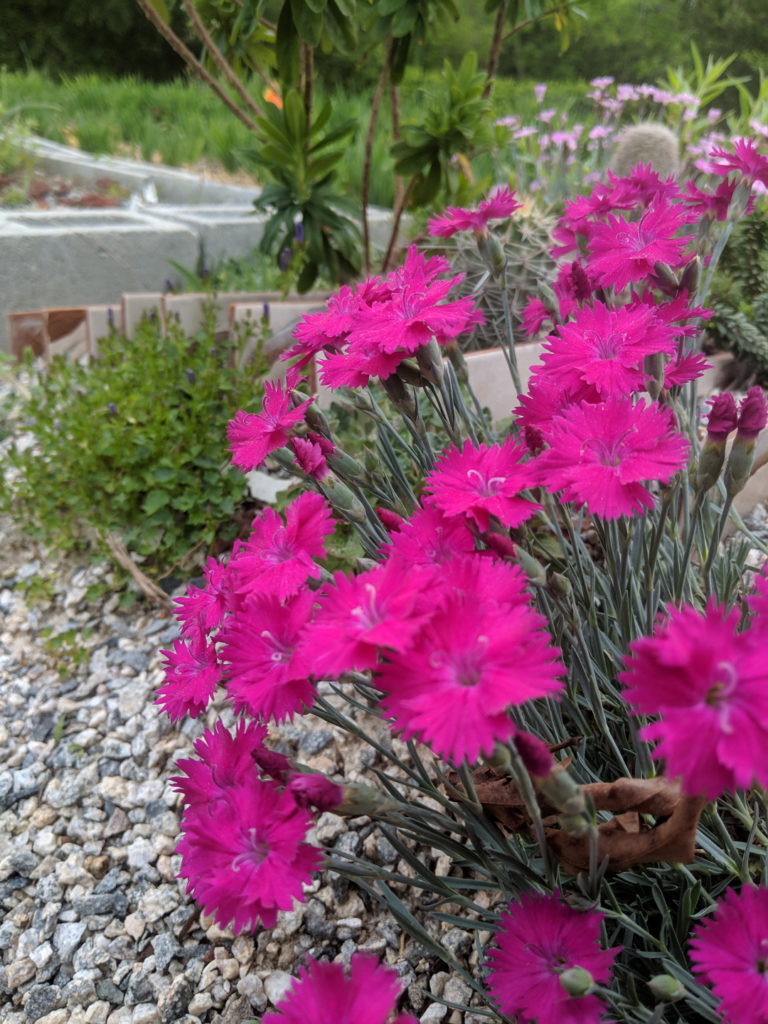 What April Showers Bring - Fine Gardening