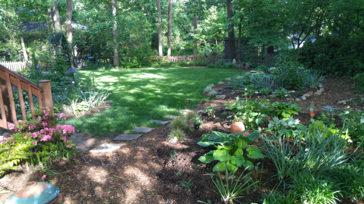 From Weedy Lawn to Shade Garden - Fine Gardening