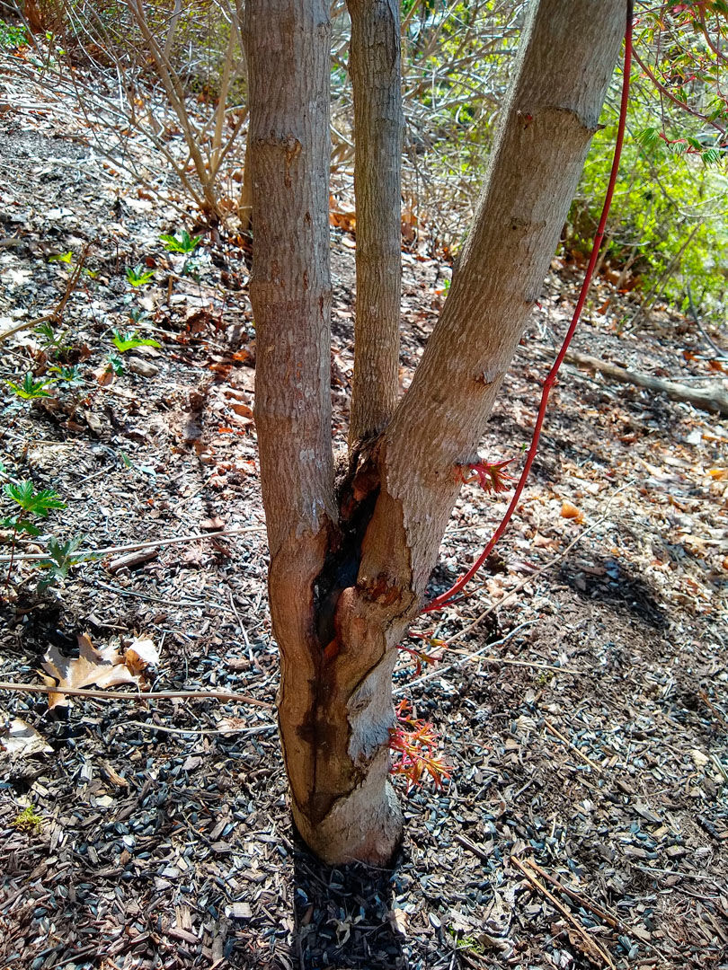 Episode 38: Hard Lessons Learned