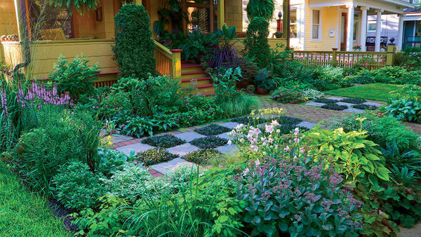 Tour a Collector’s Garden Filled With Artful Plant Combinations ...