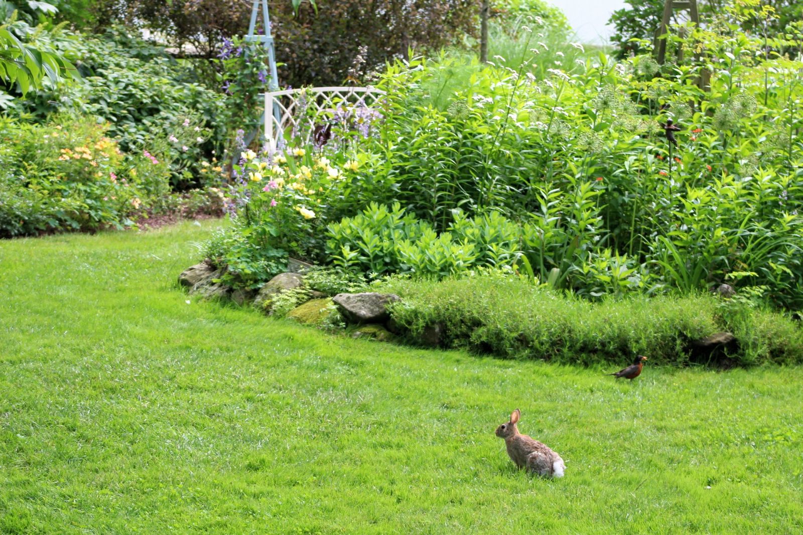 Return to Luana’s Garden - Fine Gardening