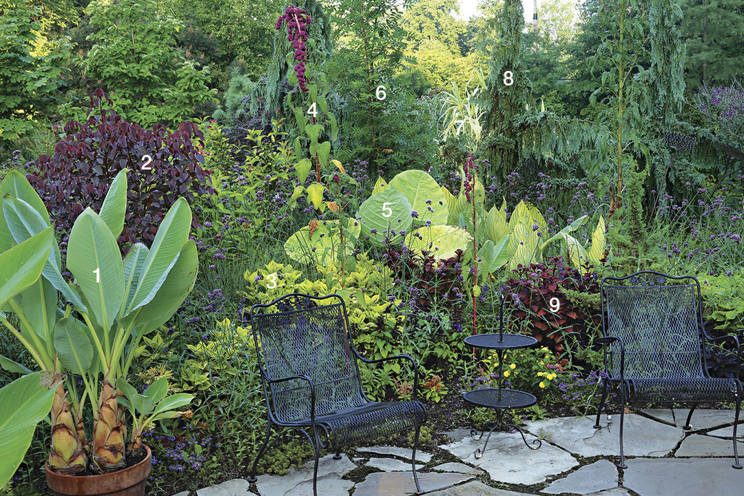 Taming a High Impact Design Planting Plan - Fine Gardening