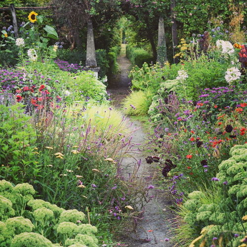 Careful Design for a Naturalistic Effect - Fine Gardening