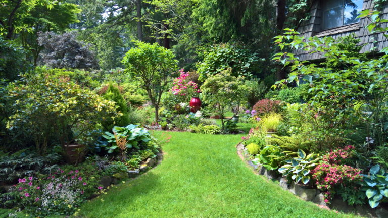 Returning to a Fabulous Garden - Fine Gardening