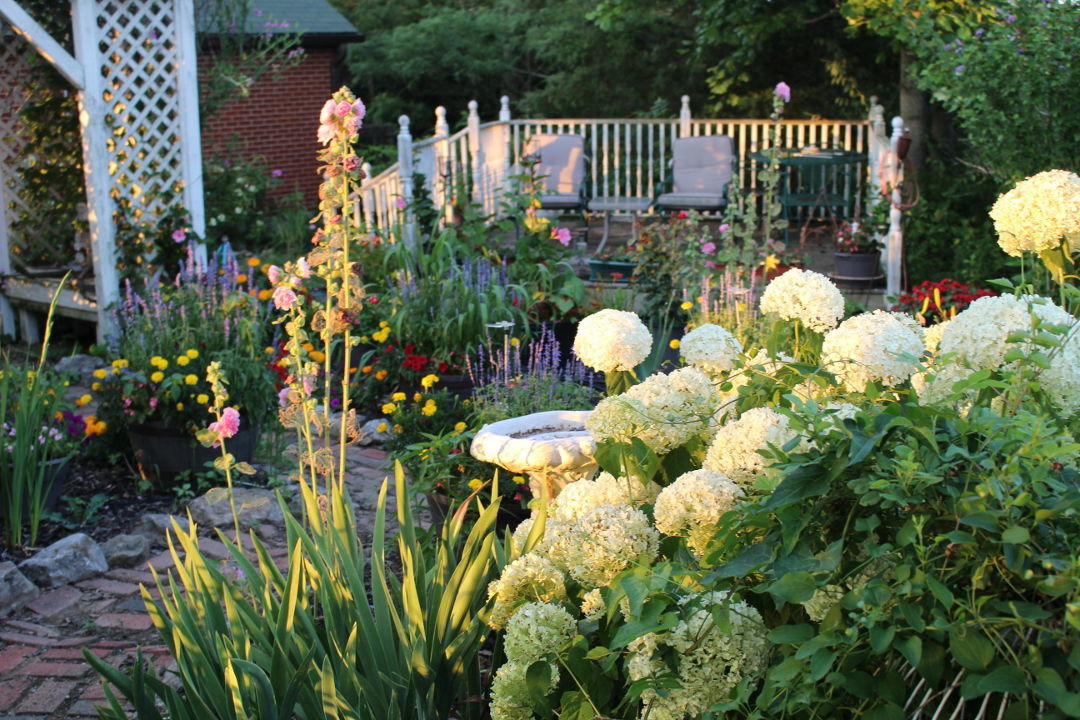 A Garden as Pretty as a Painting - Fine Gardening