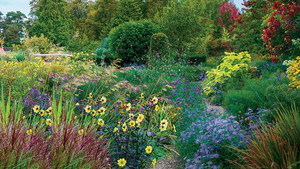 A Fabulous Fall Garden - FineGardening