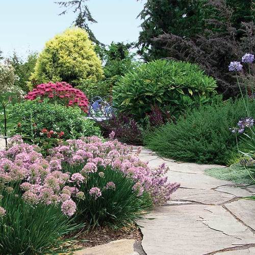 10 Small Plants to Grow Now - FineGardening