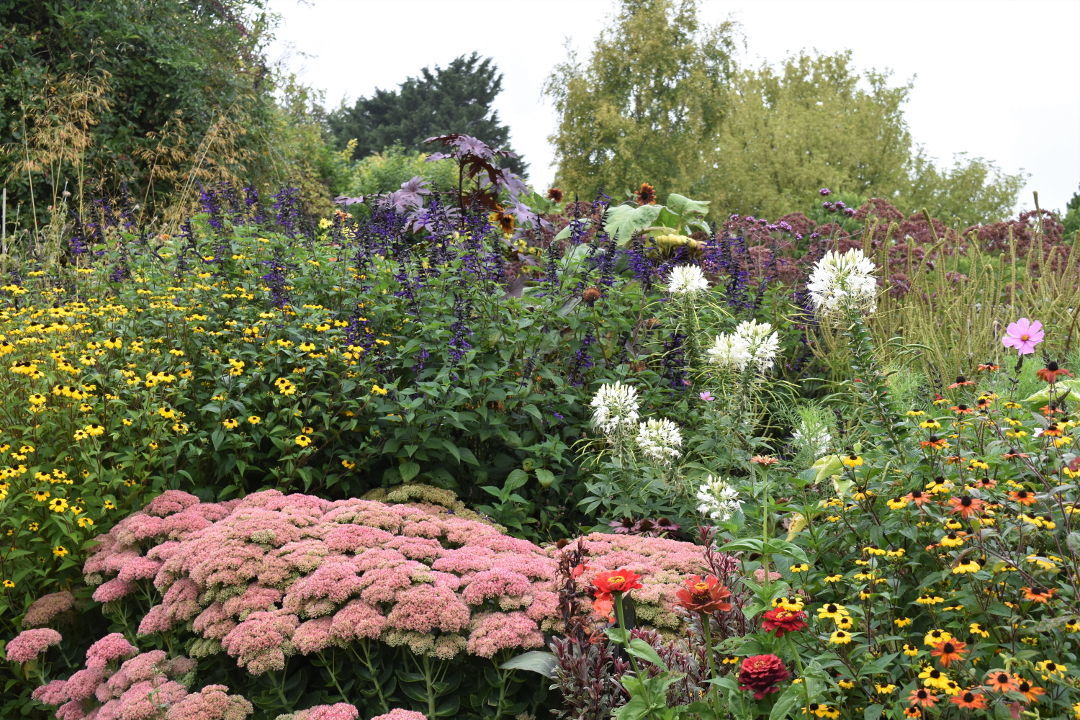 Design Advice for a Wild, Informal Garden - Fine Gardening