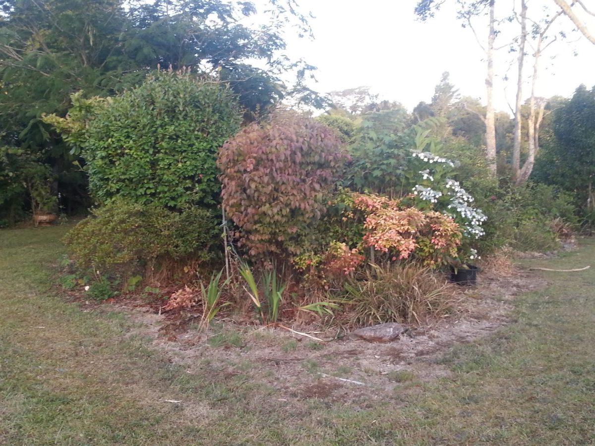 Restoring a Neglected Family Garden - Fine Gardening