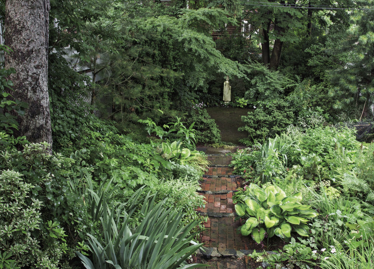 Designing a Tranquil Garden - Fine Gardening