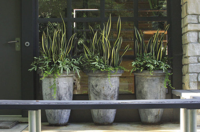 Four Ways to Use Container Plantings for More Privacy - Fine Gardening