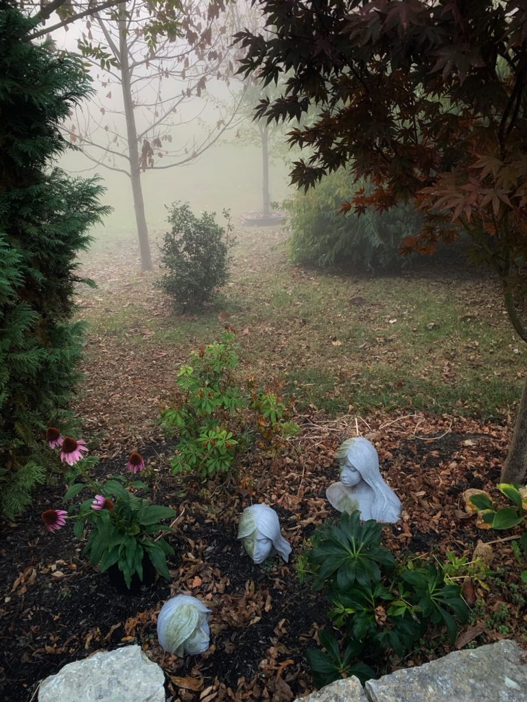 A Perfectly Spooky Garden - Fine Gardening