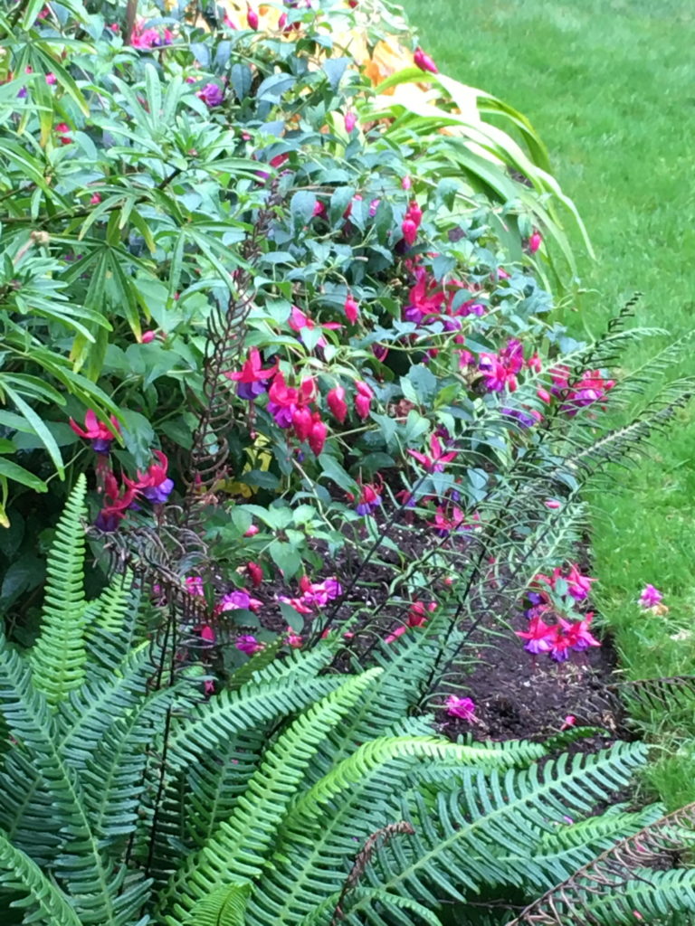 Autumn in the Pacific Northwest - Fine Gardening