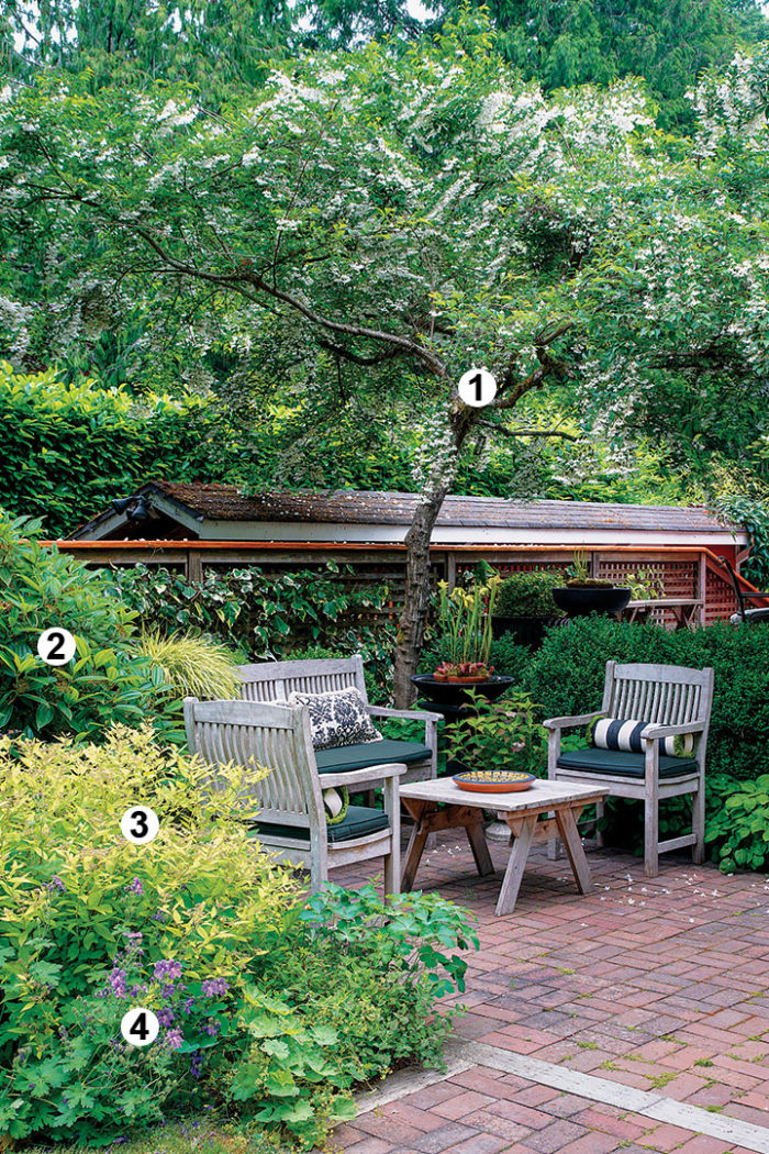 Creating a Beautiful Garden in the Shade - Fine Gardening