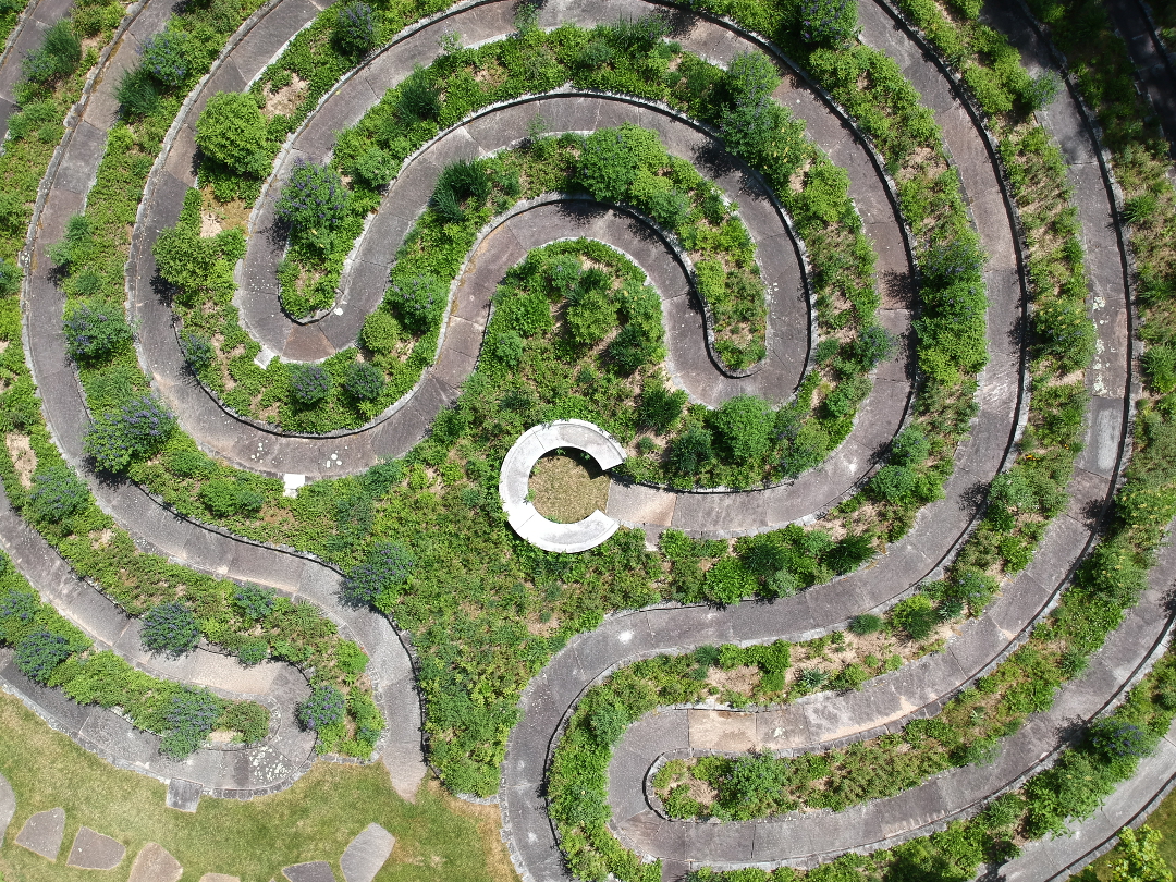 A Wildflower Labyrinth - Fine Gardening