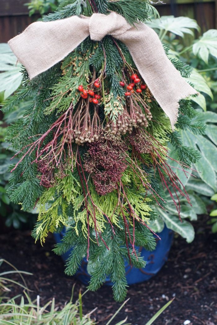 Holiday Decor From the Garden - Fine Gardening