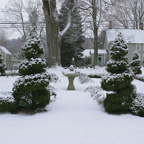 Northeast: December Garden To-Do List - FineGardening