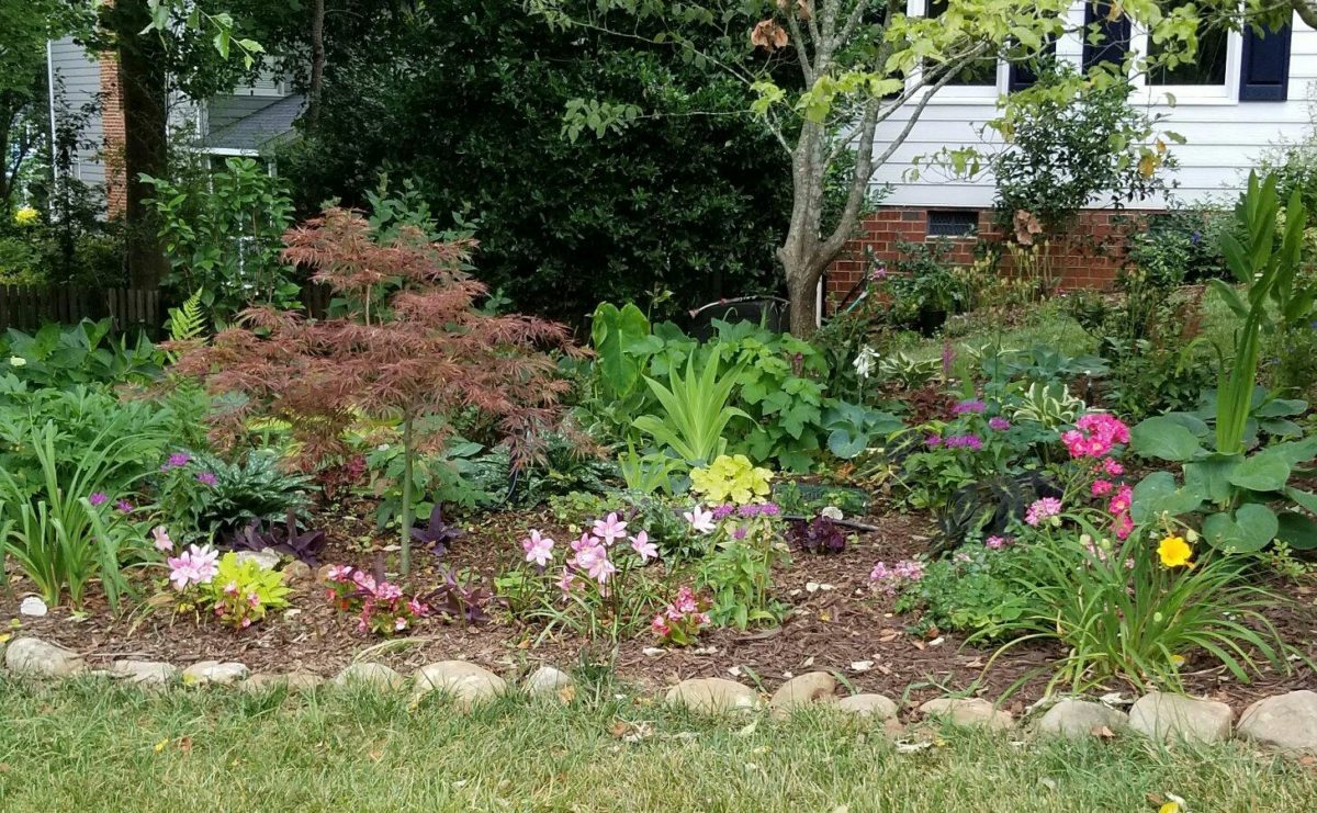 Three Years in a New Garden - Fine Gardening