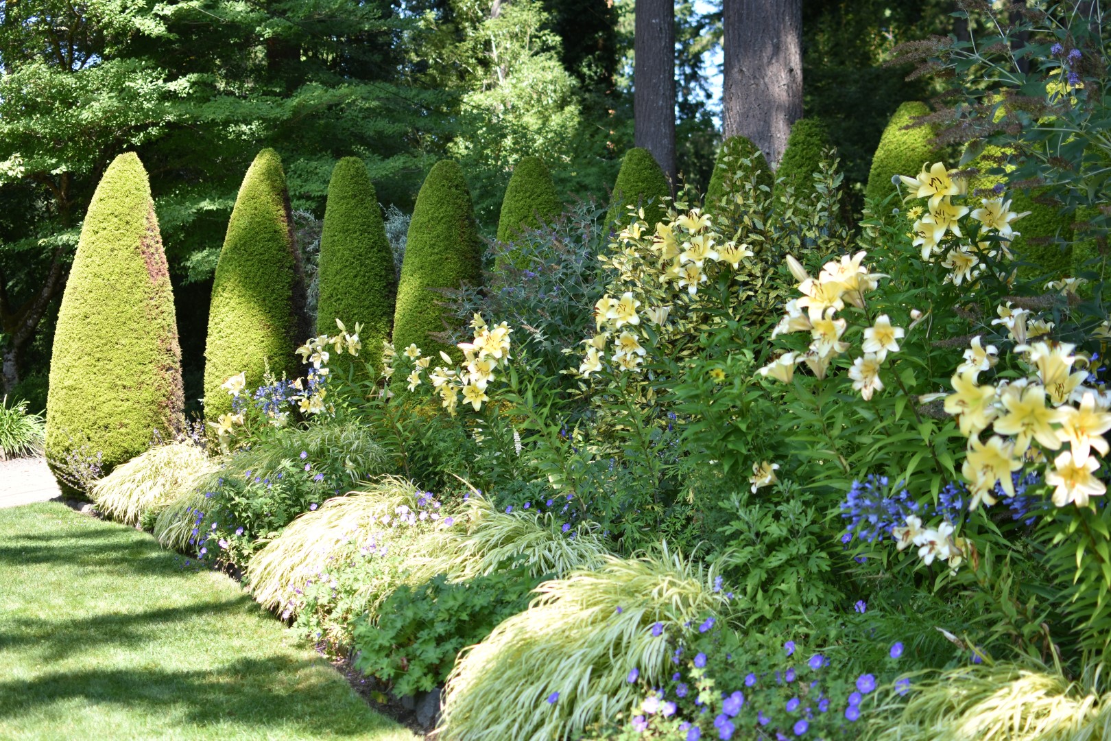 The Blue and Yellow Garden at Heronswood - Fine Gardening