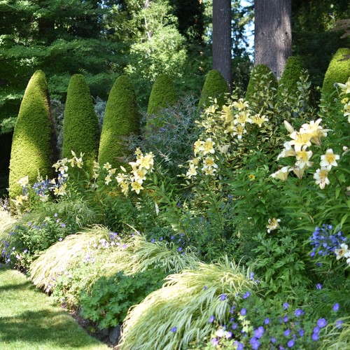 The Blue and Yellow Garden at Heronswood - Fine Gardening