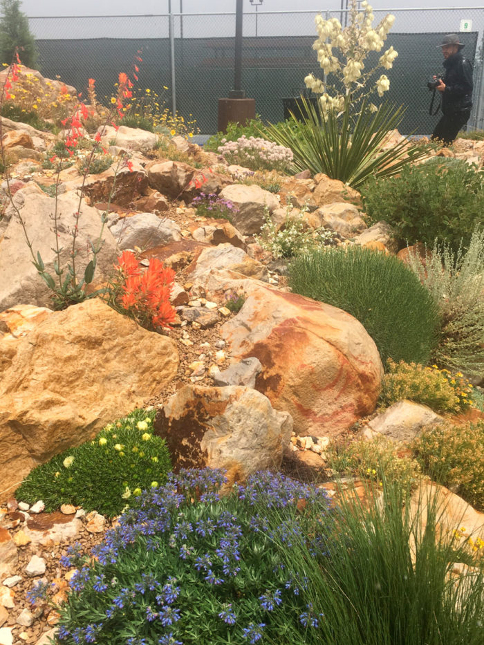 Crevice Gardening with Kenton Seth - Fine Gardening