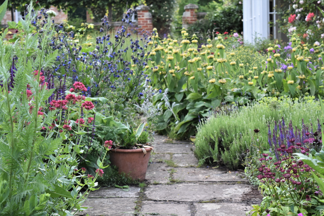 Dense Plantings for Wild Beauty - Fine Gardening