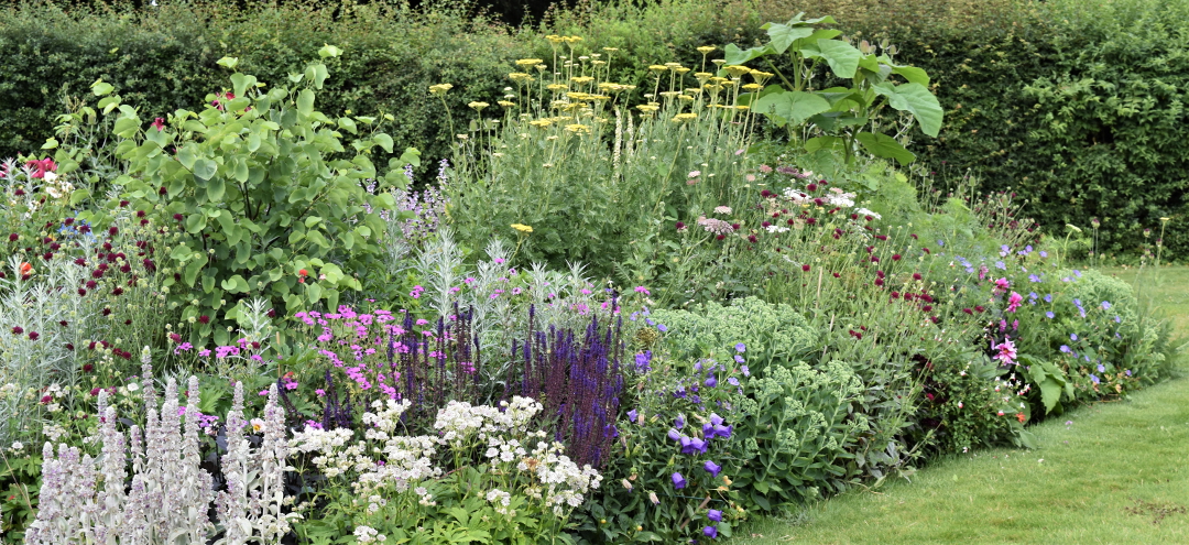 Dense Plantings for Wild Beauty - Fine Gardening