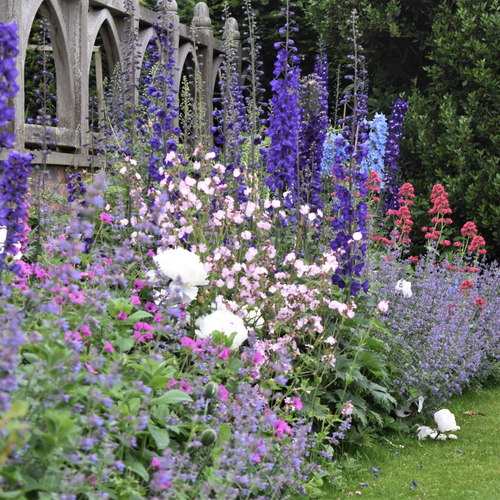 Dense Plantings for Wild Beauty - Fine Gardening