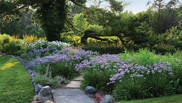 A Garden Design Plan That Incorporates Mass Plantings - Fine Gardening