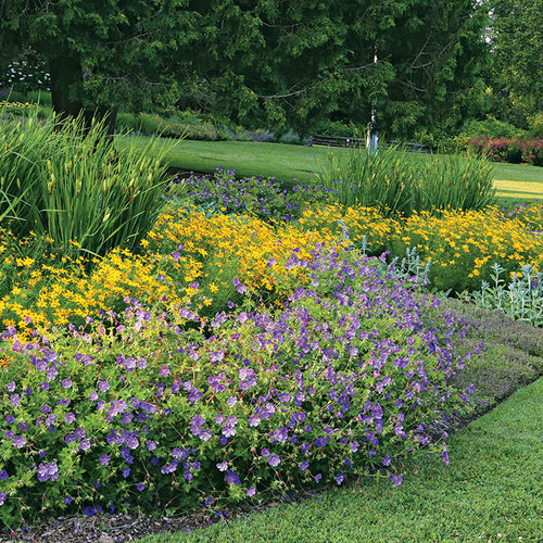 Answers to Common Mass Planting Questions - Fine Gardening