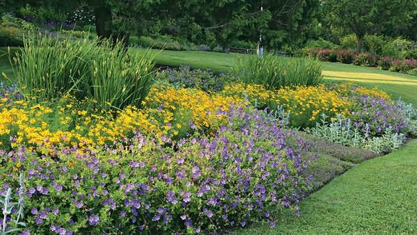 Mass Plantings - Fine Gardening