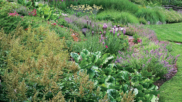 Mass Plantings - Fine Gardening