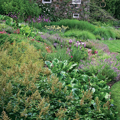 A Garden Design Plan That Incorporates Mass Plantings - Fine Gardening