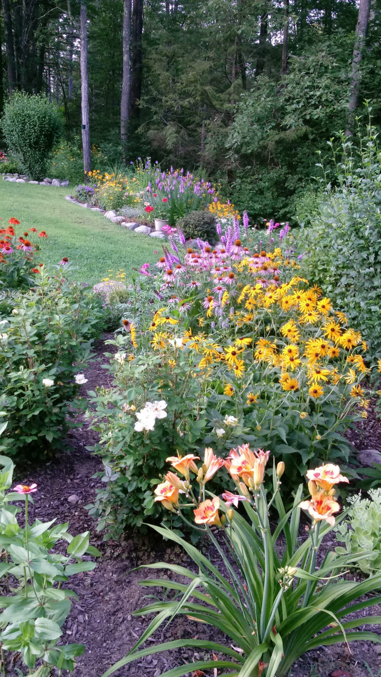 Flowers From Sun to Shade - Fine Gardening