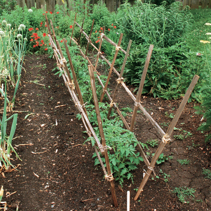 Three Garden Structures You Can Build - Fine Gardening