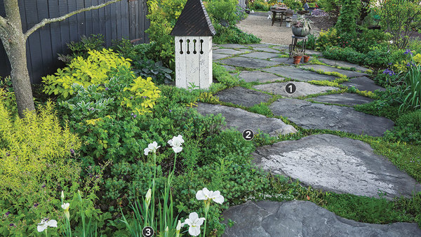 A Garden Design Expert on Ground Covers, Lower Maintenance, and “Mean ...