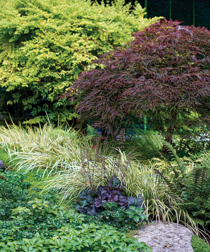 Dry Shade Done Simply - Fine Gardening