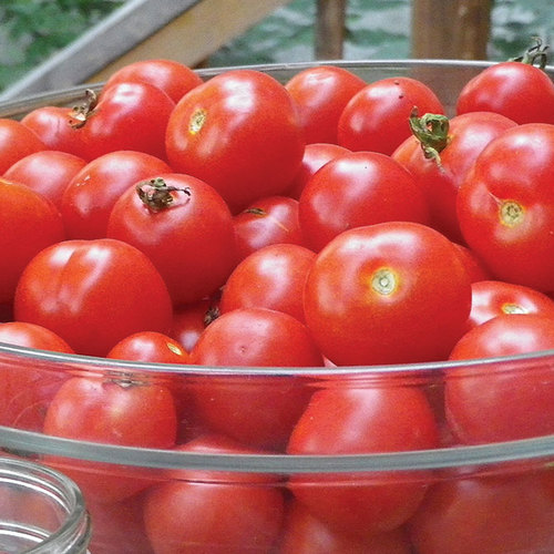 The Best New Plants for 2020: Vegetables - Fine Gardening
