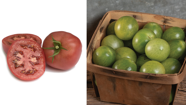 From Poison Ivy to Flowers - FineGardening