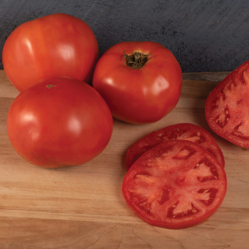 5 Great New Tomato Varieties - Fine Gardening