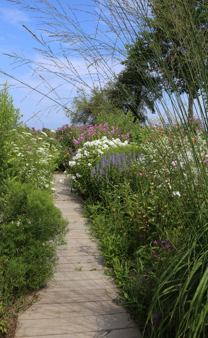 Designing a Stylish Pollinator Garden - Fine Gardening