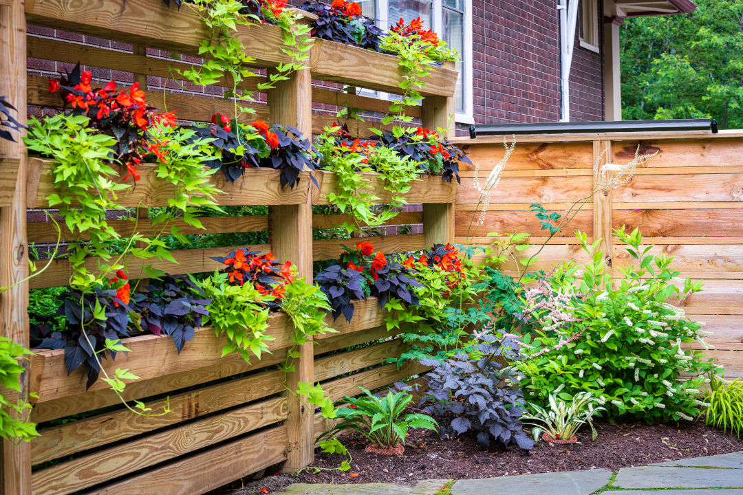 A Planted Fence - Fine Gardening