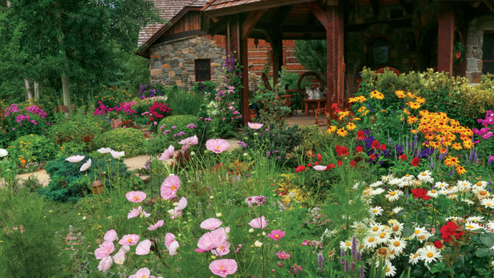 Garden Design That Doesn't Limit Your Color Palette - Fine Gardening