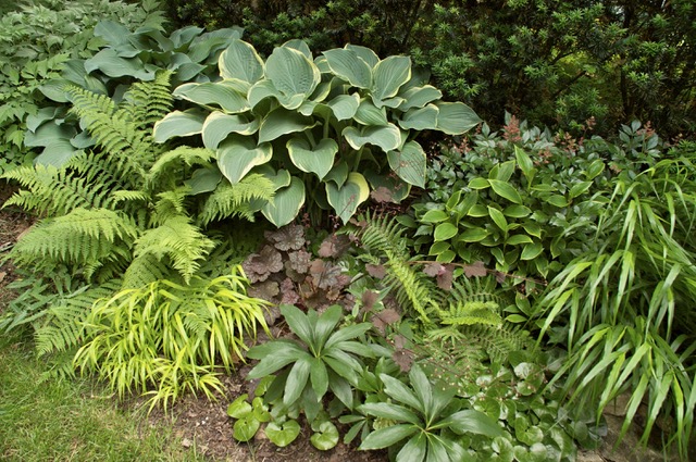 A Garden Built on Foliage - Fine Gardening